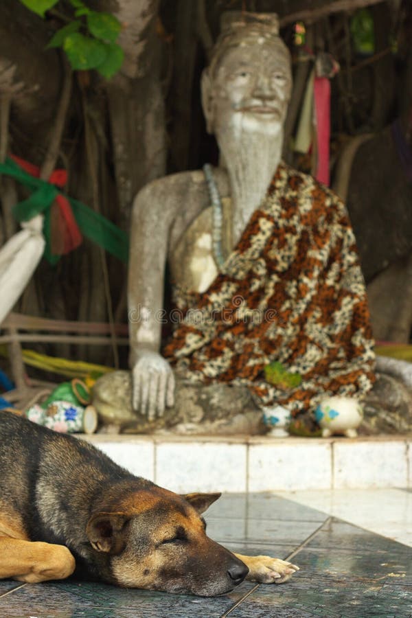Sleepy Dog and Buddha stock photo. Image of floor, statue - 5854650