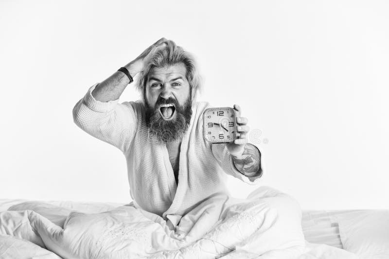 Sleepy Mad Guy and Alarm Clock in Bed. Bearded Man with Alarm Clock ... Sleepy Mad Guy and Alarm Clock in Bed. Bearded Man with Alarm Clock ...