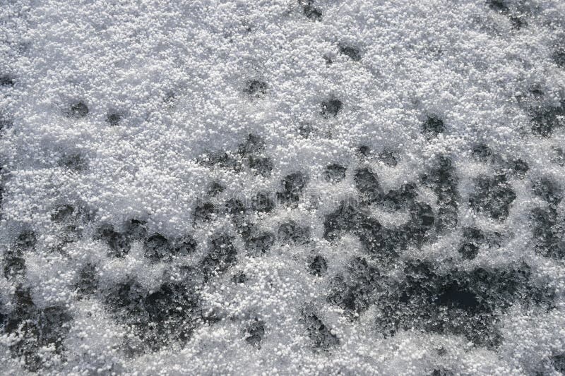 Sleet, Freshly Fallen, Small Grains of Sleet Over Ice Layer, Weather ...