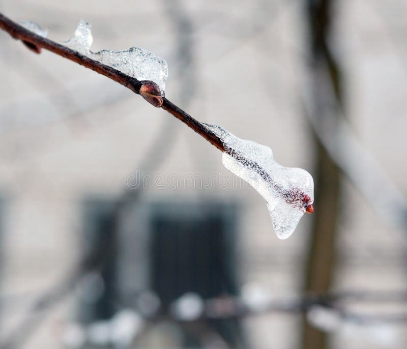 Sleet stock image. Image of phenomenon, rising, increasing - 50514809