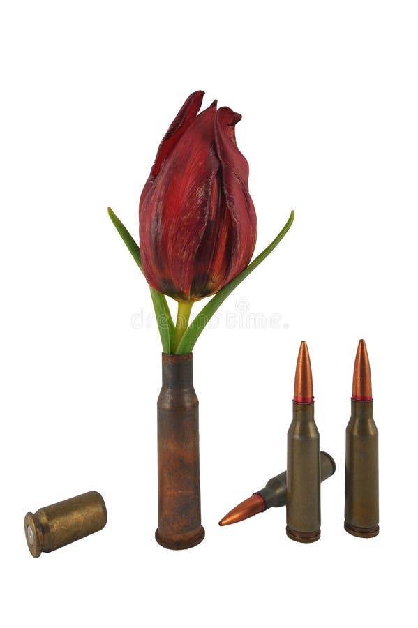 133 Bullets Flower Stock Photos - Free & Royalty-Free Stock Photos from ...