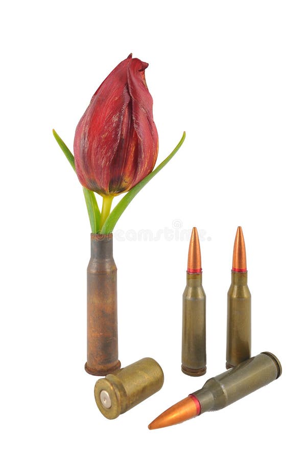 Bullets and a flower stock photo. Image of incompatibility - 4464174