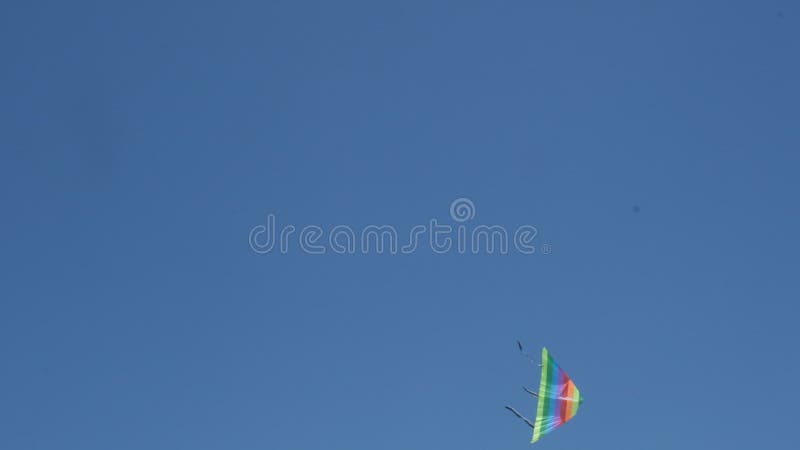 A Slender Man on the Beach is Flying a Multi-colored Kite. Active ...