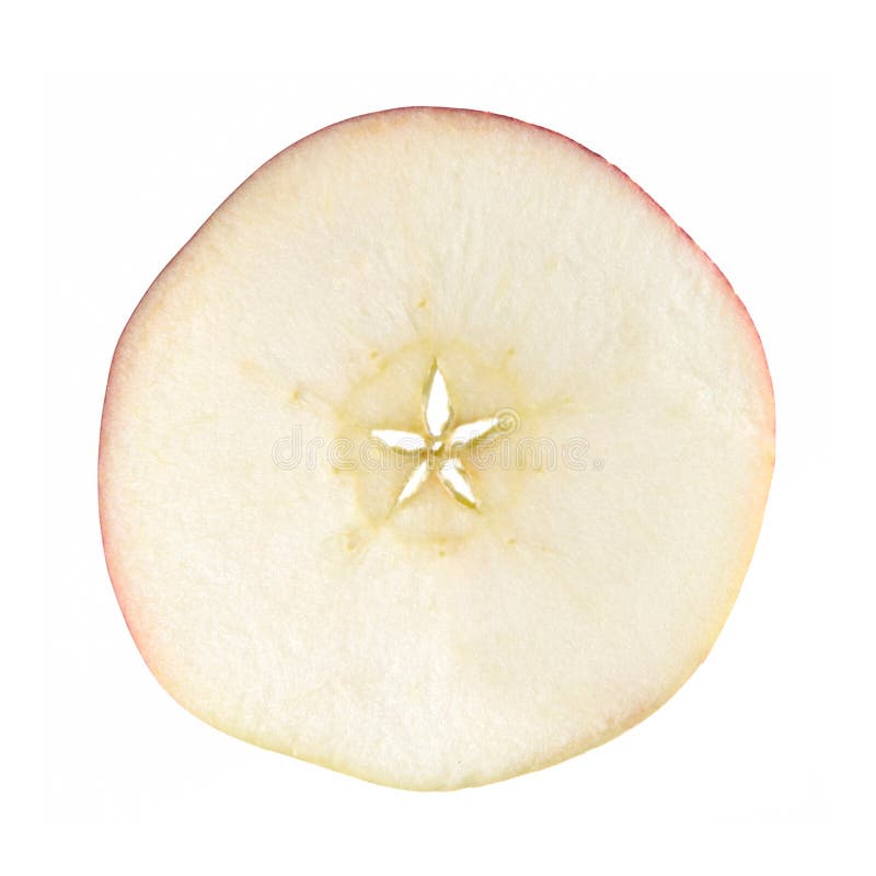 Slice of apple. stock image. Image of fruit, healthy, edible - 8473205