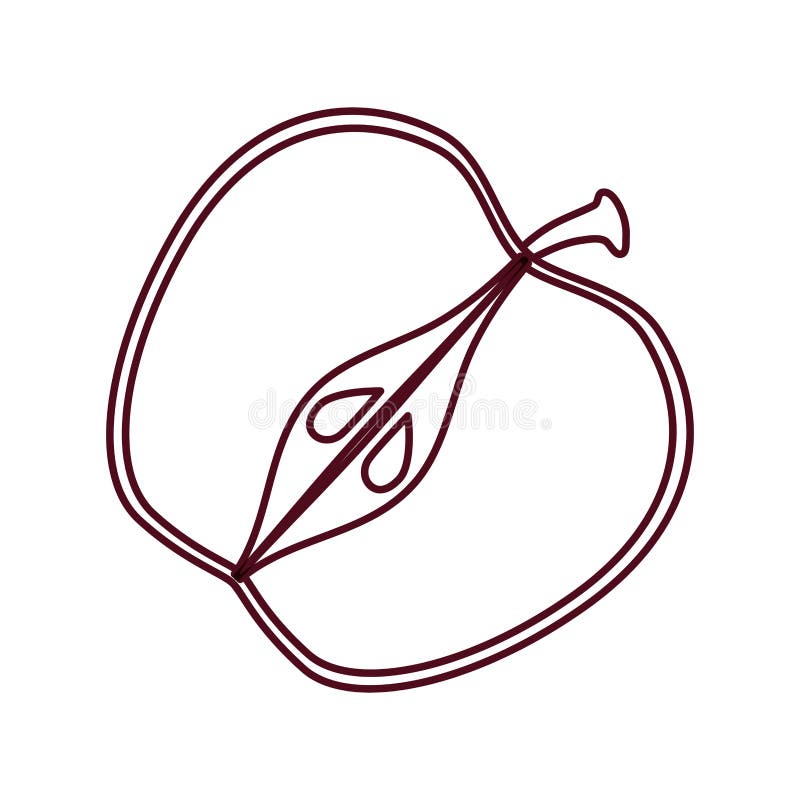 Slice apple fruit line stock illustration. Illustration of nutrition ...