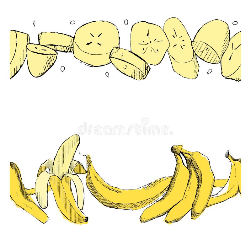Slice Bananas Vector Seamless Pattern Border Horizontal Frame. Tropical ...