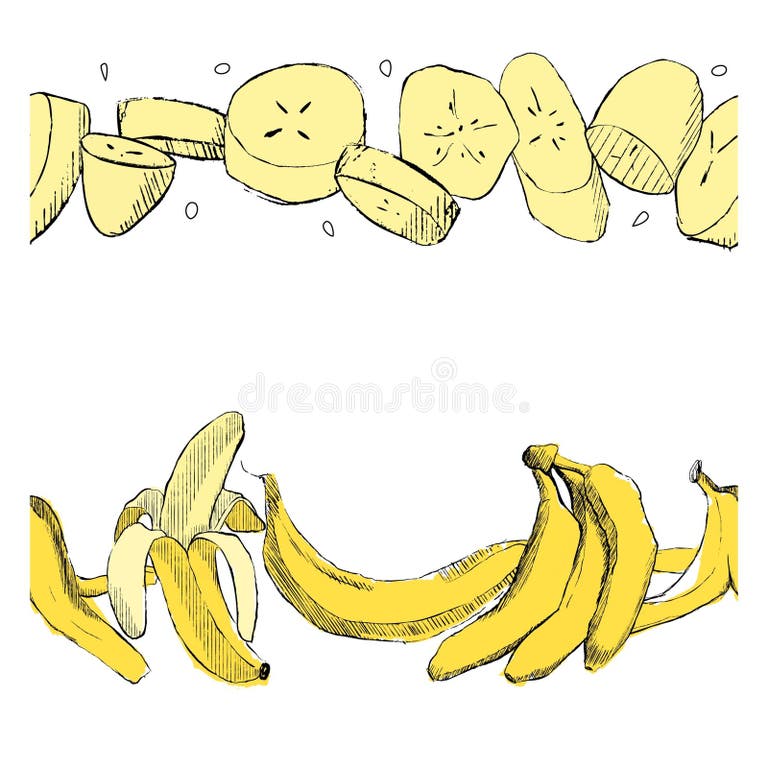 Slice Bananas Vector Seamless Pattern Border Horizontal Frame. Tropical ...