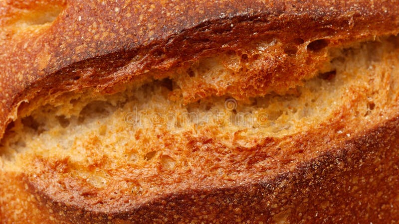 A Slice of Bread with a Brown Crust and a Slightly Burnt Interior Stock ...