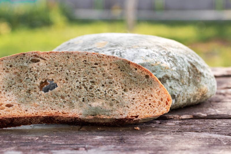 A Slice of Bread Covered with Mold on a Wooden Surface Stock Photo ...