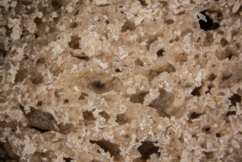 Slice of bread with poor stock photo. Image of baking - 191650032