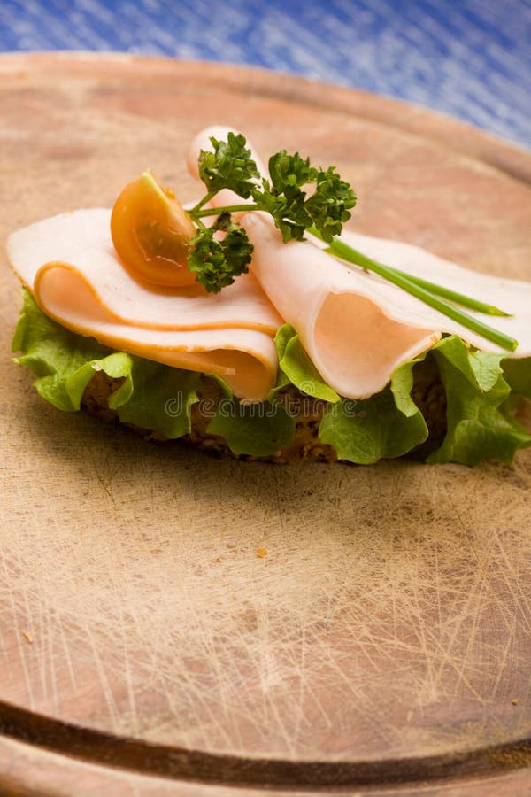 Slice of Bread with Turkey stock image. Image of food - 18526097