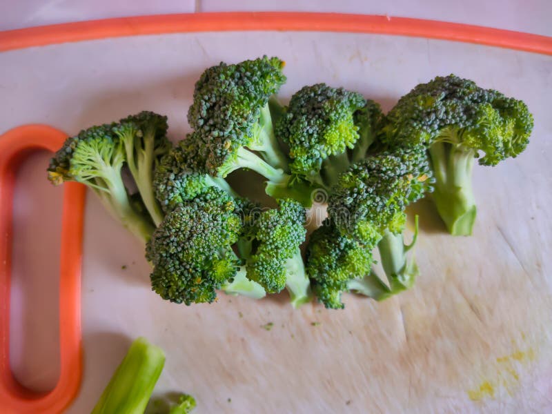 A Slice of Broccoli on the Tray Stock Image - Image of plant, meat ...