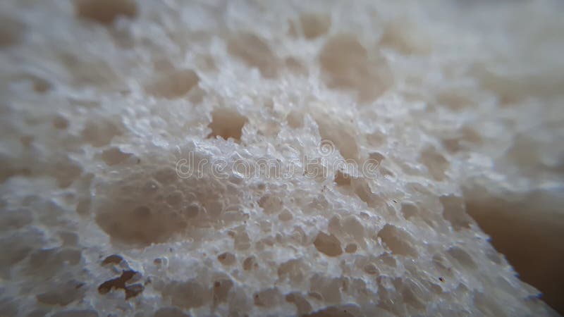 Bread Slice Texture - Bakery Food Stock Photo - Image of detail, bread ...