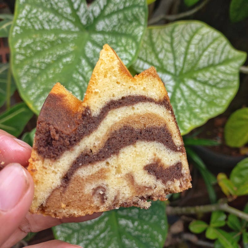 A slice of cake stock photo. Image of looks, slice, yummy - 265641478