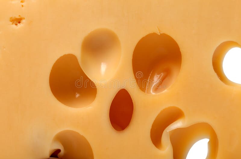 Slice of cheese stock photo. Image of edam, chees, gourmet - 26145540