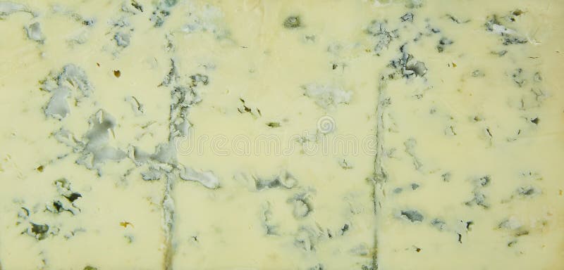 A Slice of Cheese with Mold, the Texture of the Product`s Surface ...