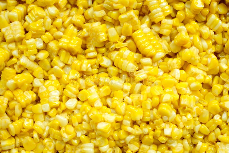Slice corn with butter stock photo. Image of sweetcorn - 60741376