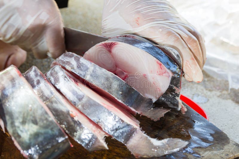 Slice and Cut the King Mackerel Fish Stock Photo - Image of dissection ...
