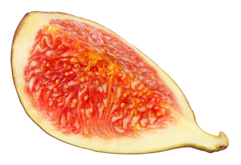 Slice of Fig Isolated on White. Clipping Path Stock Image - Image of ...
