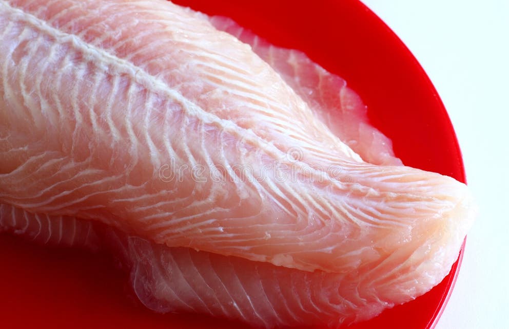 Slice of fish stock image. Image of juicy, cross, cookery - 12325319