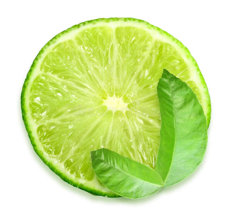 Slice of fresh lime stock photo. Image of portion, slice - 30335844