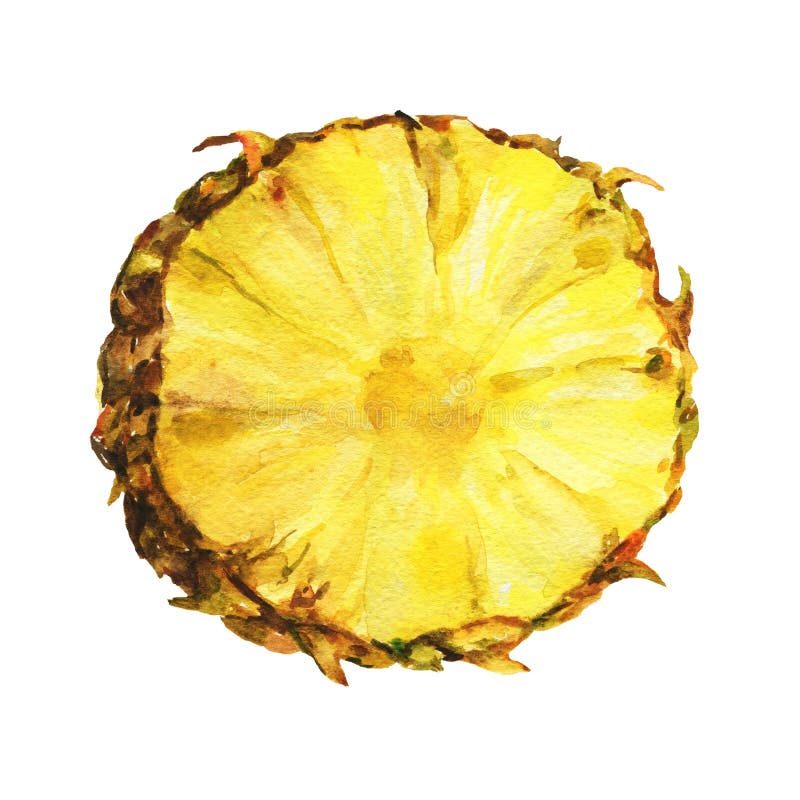 Watercolor pineapple set stock illustration. Illustration of nature - 68252813