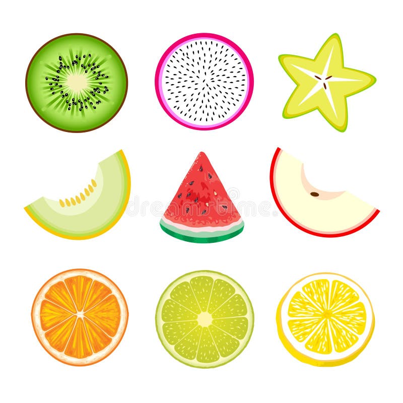 Slice of Fruit stock vector. Illustration of digital - 85920165