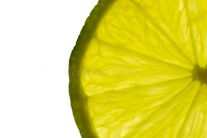 Lemon anatomy stock image. Image of citron, juice, anatomy - 165815