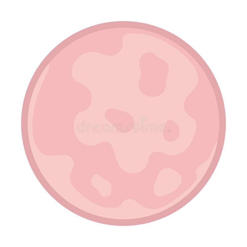 Slice of ham isolated stock vector. Illustration of closeup - 348326925