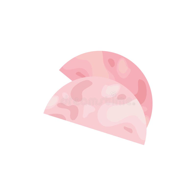 A Slice of Ham Isolated on White Background - Vector Illustration Stock Vector - Illustration of ...
