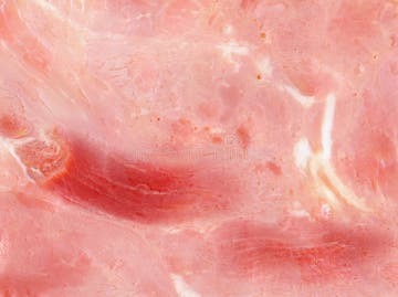 Slice of ham texture stock image. Image of smoked, healthy - 8536973