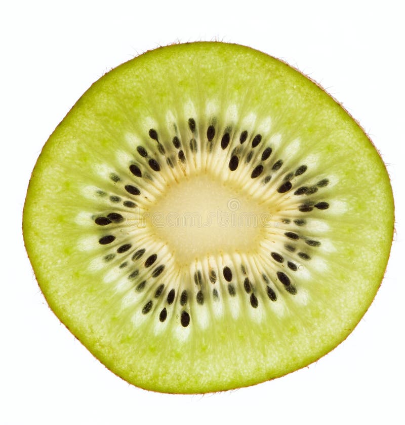 Slice of kiwi stock image. Image of white, rind, isolated - 13379049