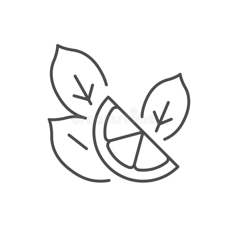 Lemon Line Art Hand-drawn Multicolor Modern Vector Illustration ...