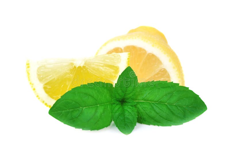 Slice of lemon with mint stock photo. Image of fleshy - 31590018