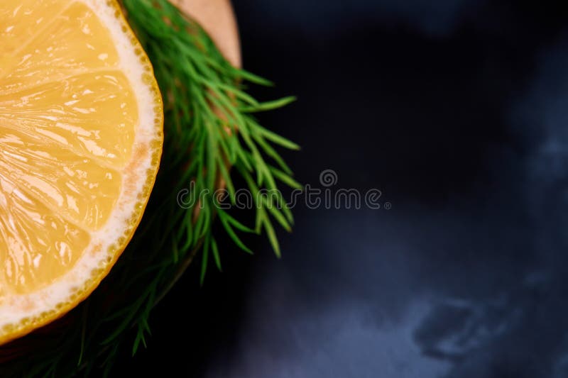 A Slice of Lemon and a Sprig of Dill Stock Photo - Image of lemon ...