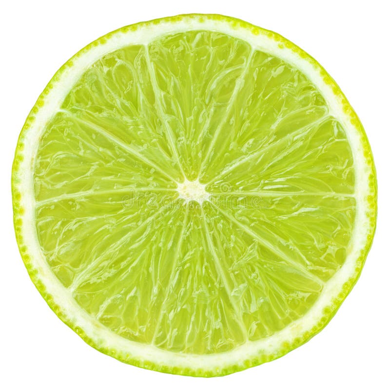 Slice of Lime Citrus Fruit Isolated on White Stock Image - Image of ...