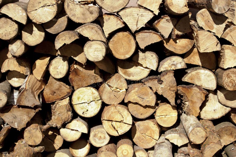 Slice the Log with a Horizontal Crack. Stock Photo - Image of bark ...