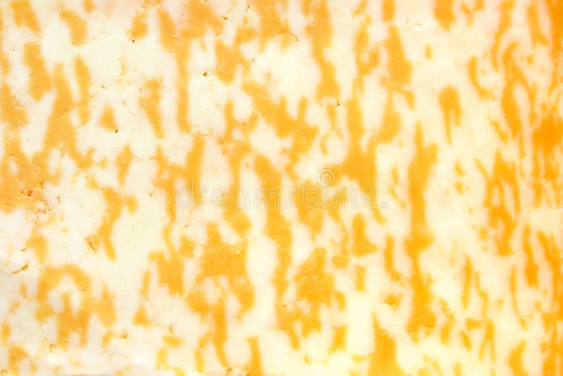 Slice of marble cheese stock photo. Image of backdrop - 122318420
