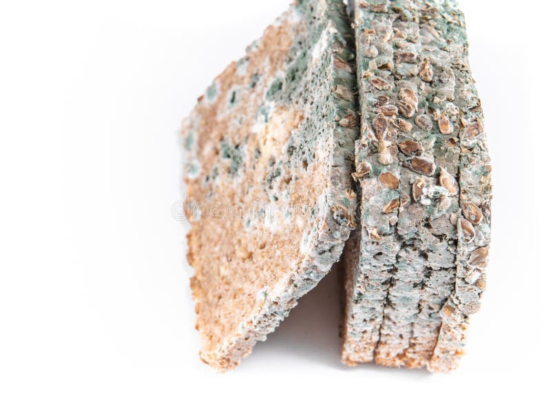 Slice of Moldy Bread, Rotten and Uneatable. Studio Shot Stock Image ...