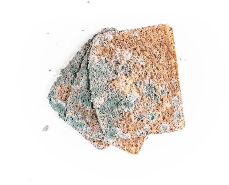 Slice of Moldy Bread, Rotten and Uneatable. Studio Shot Stock Image ...