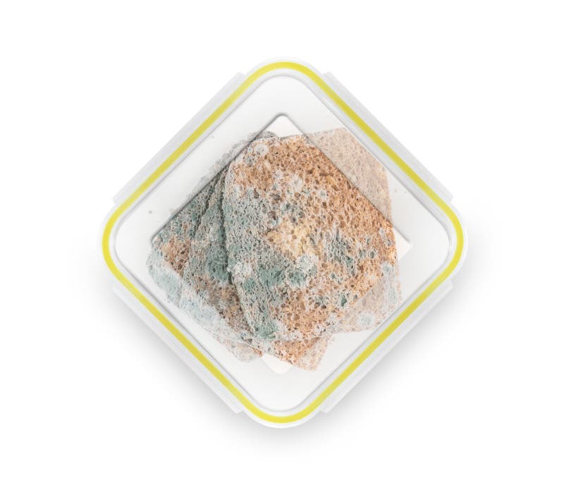 Slice of Moldy Bread, Rotten and Uneatable. Studio Shot Stock Image ...