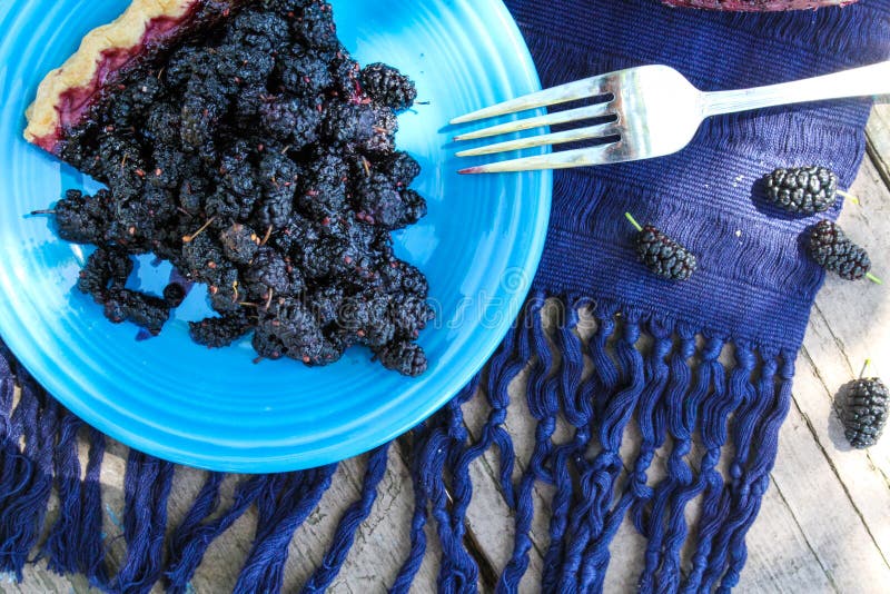 Slice of Mulberry Pie on a Blue Plate with a Fork Stock Image - Image ...