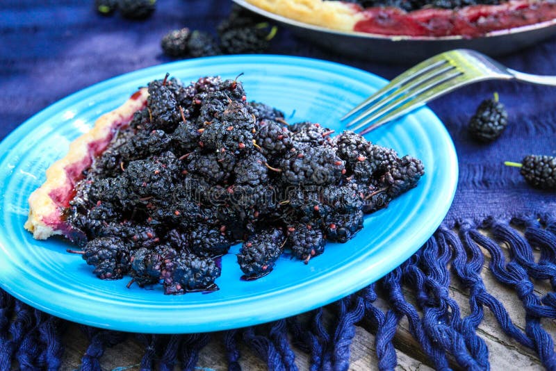 Slice of Mulberry Pie on a Blue Plate with a Fork Stock Image - Image ...
