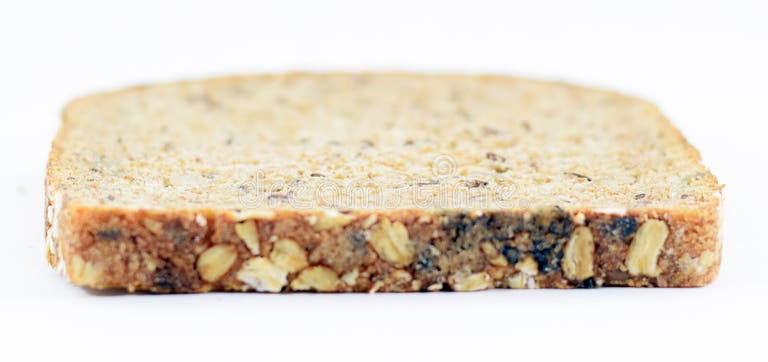 Slice of multigrain bread stock photo. Image of sliced - 80045018