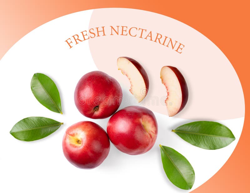 Slice Nectarine Fruit on Pattern Colour Stock Image - Image of healthy ...