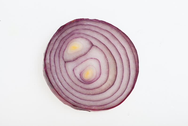 Slice of onion stock image. Image of healthcare, onion - 40016133