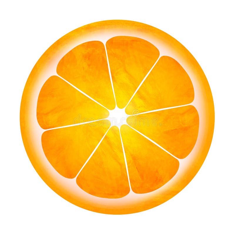 Orange Sections Illustration Stock Illustration - Illustration of ...