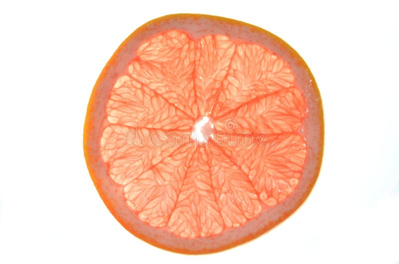Slice of red grapefruit stock image. Image of isolated - 31368449