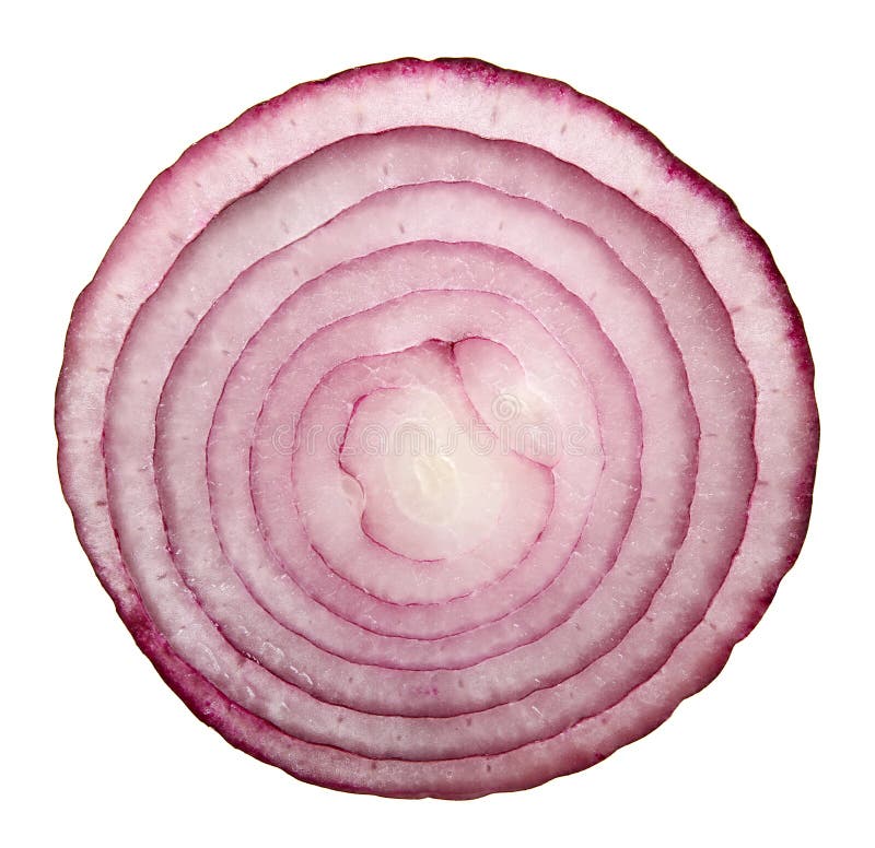 1,500+ Onion slice Free Stock Photos - StockFreeImages