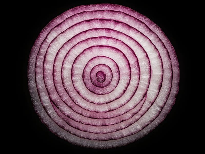 A Slice of Red Onion Set Against a Black Backdrop. the Craft of Carving ...